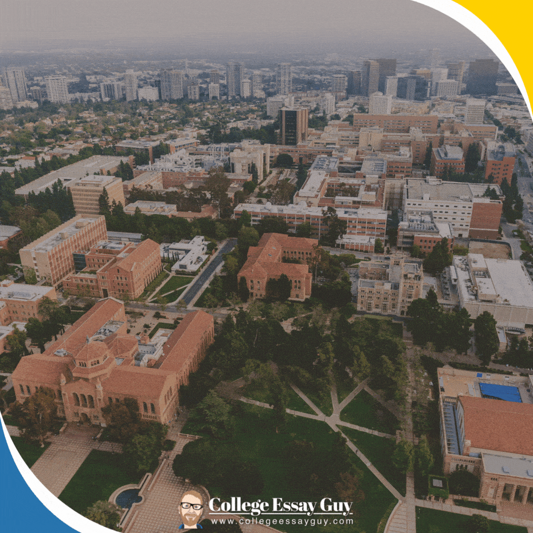 How to Get into UCLA + Admissions Requirements 2024/2025